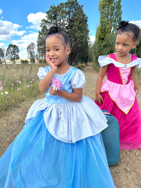 Cinderella Inspired Princess Dress (New) – Princess Gabi